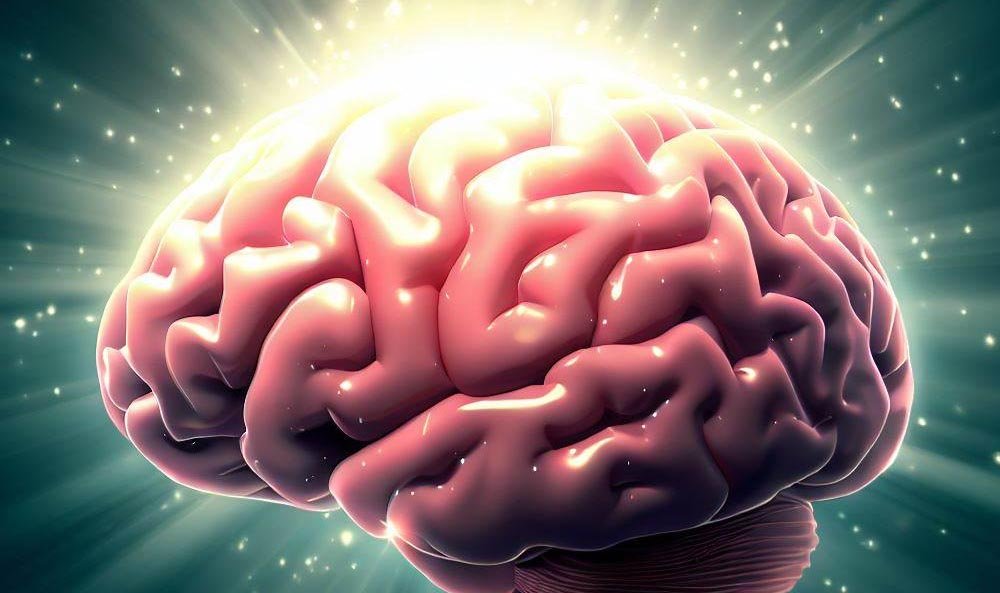 Beyindeki Gri Madde: Yapısı, İşlevi ve Önemi